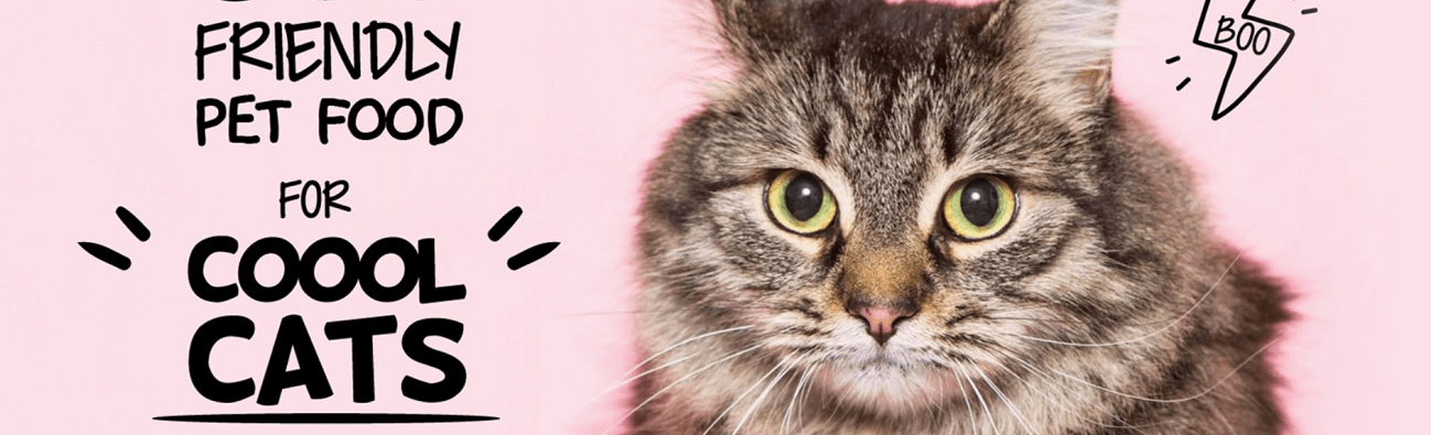 Interview: Aneisha Soobroyen, Founder, Scrumbles | SeedLegals