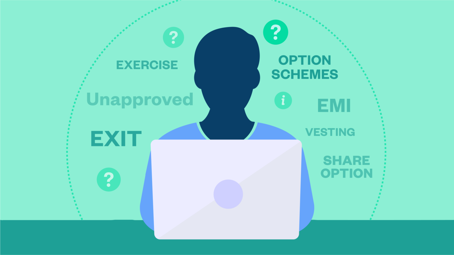 How to choose the right option scheme | SeedLegals