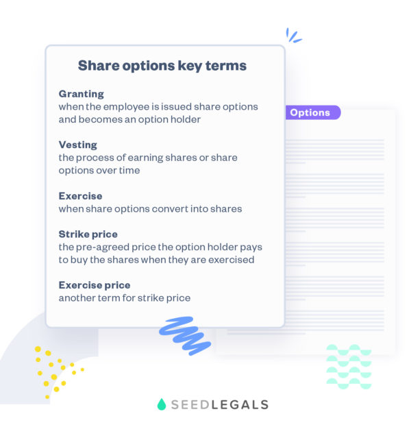 Shares vs Options: Key Differences Explained for UK Startups