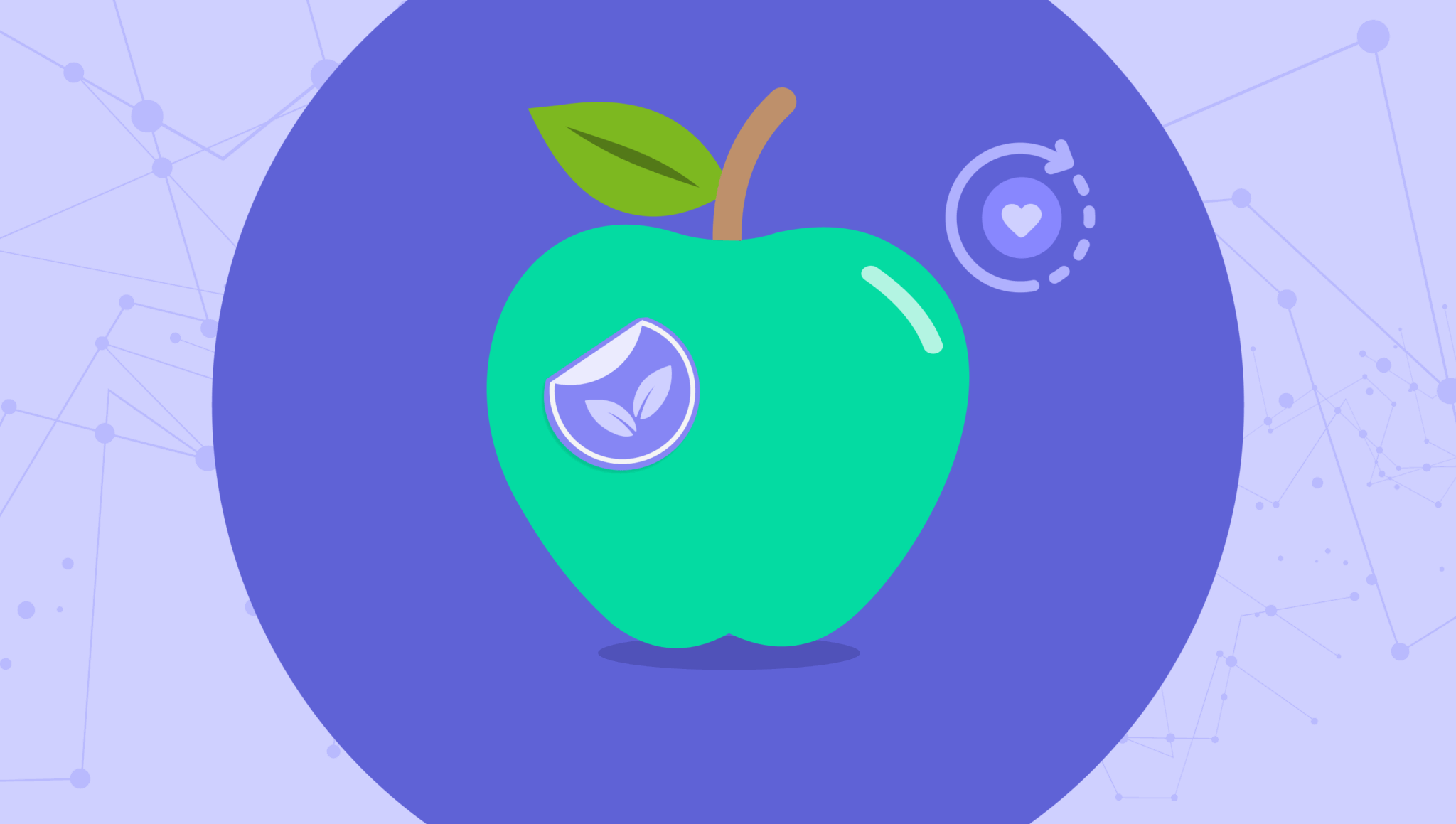 Building a volunteering ecosystem with Volunteero | SeedLegals